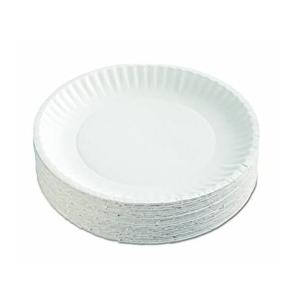 White Uncoated Paper Plate, 9 Inch